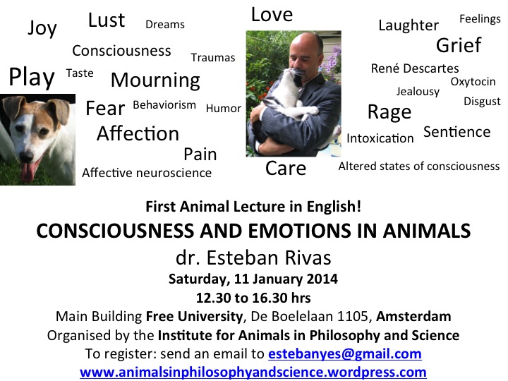 Join us at the first Animal Lecture in English! | Institute for Animals ...